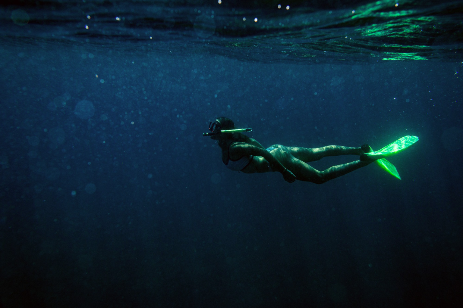 13 Interesting Facts About Swimming (You Won't Believe #10!)